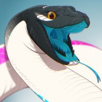 Xerocole - The Lord Of The Craft