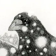 katekatherine - The Lord Of The Craft