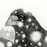 katekatherine - The Lord Of The Craft